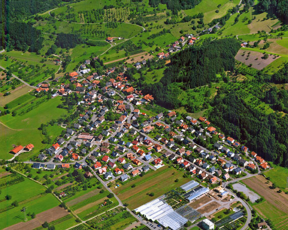 Haslach im Kinzigtal: Ortsteile
