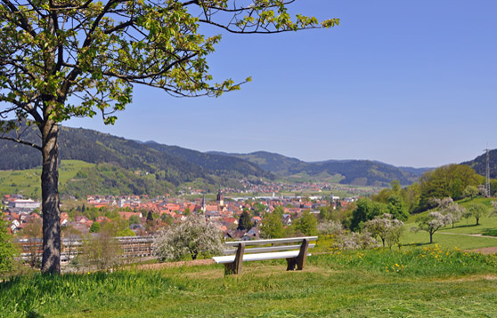 Haslach im Kinzigtal: Links